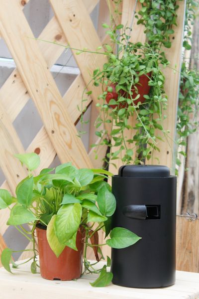 SCENT DIRECT scentairvietnam