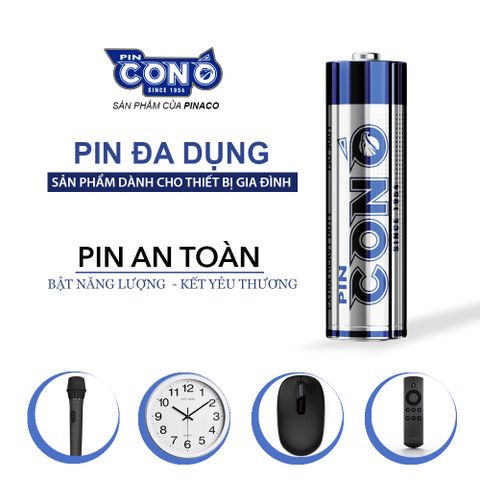 Pin Con Ó – PINACO