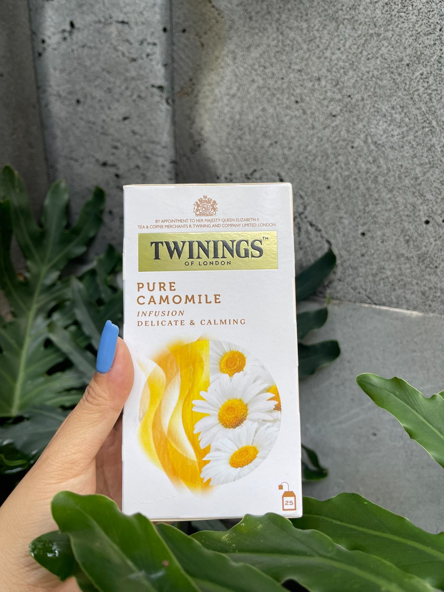 Trà túi lọc Twinings of London Pure Camomile hộp 25 gói | trà Twining ...