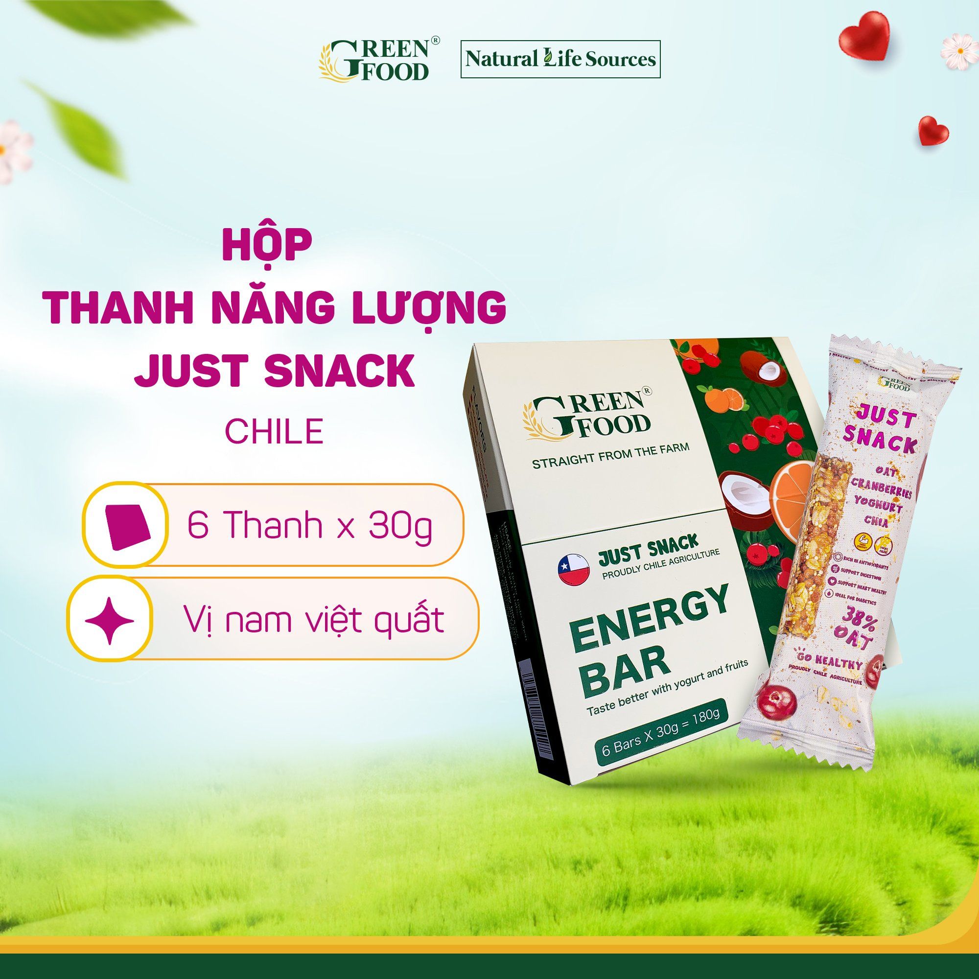 Hộp Thanh ngũ cốc yến mạch Just Snack - vị nam việt quất – Green Food