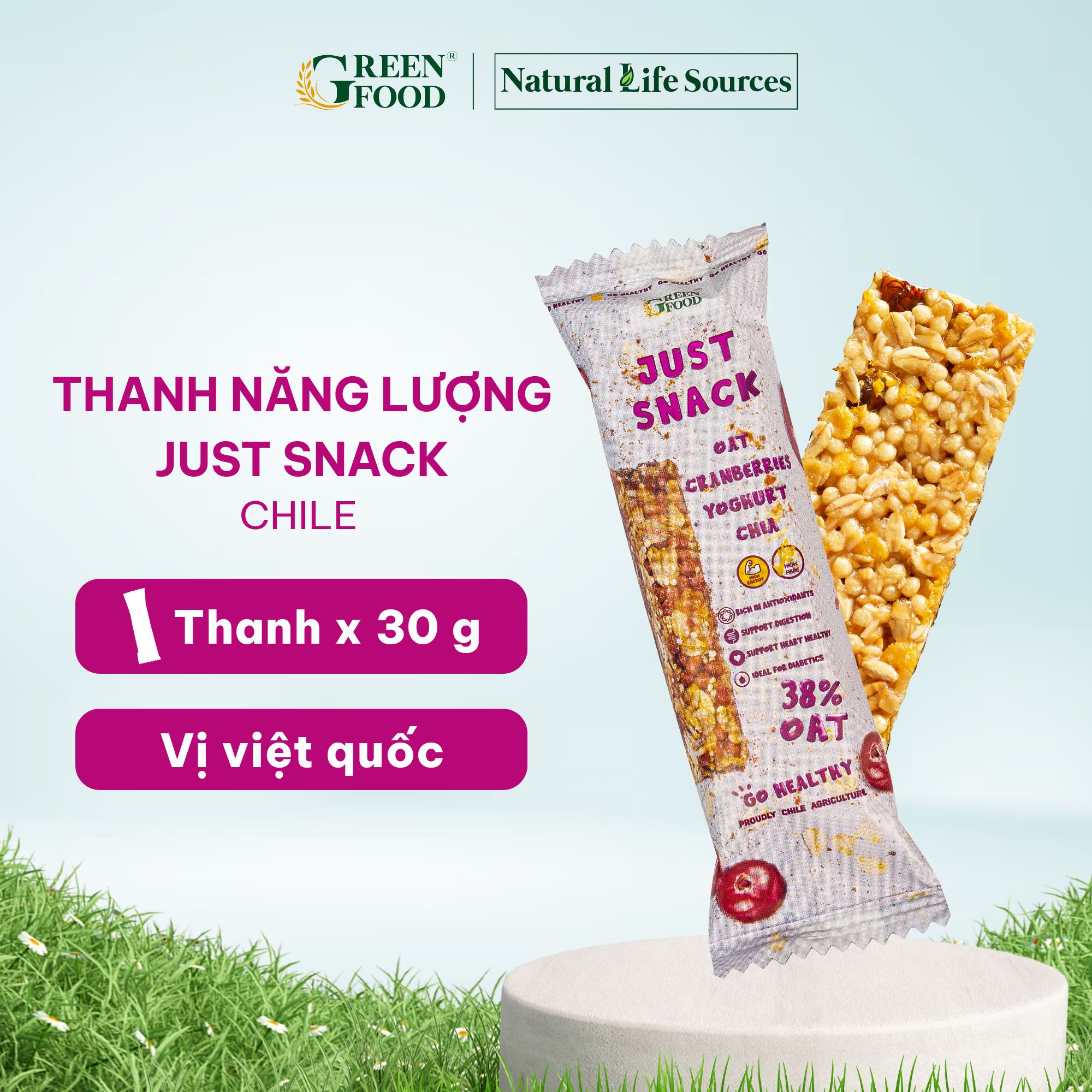 Thanh Ngũ Cốc Yến Mạch Just Snack - vị nam việt quất – Green Food
