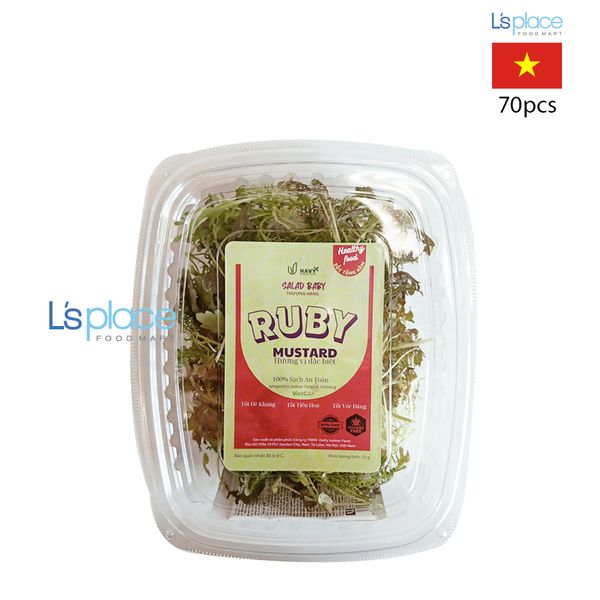 Baby Havy Salad Ruby Mustard hộp nhỏ – L's Place Foodmart