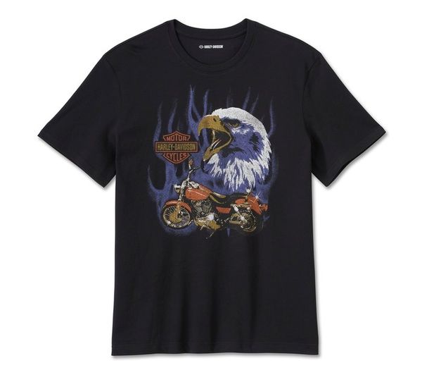 Áo Thun Nam Harley-Davidson® Men's Eagle Rider Tee 96027-25VM – Thời ...