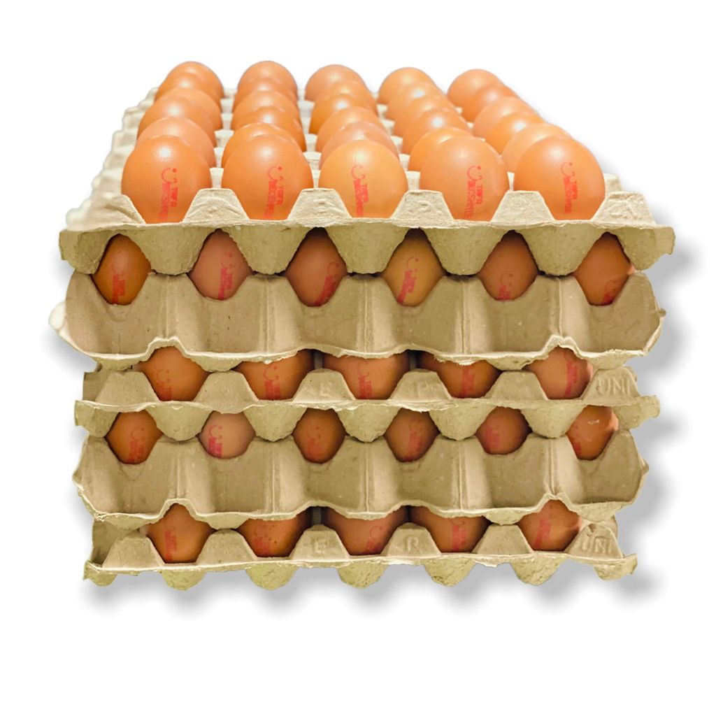 Trứng gà so dinh dưỡng Tafa size XS (45- 50gr), 150 quả | Tafa Việt