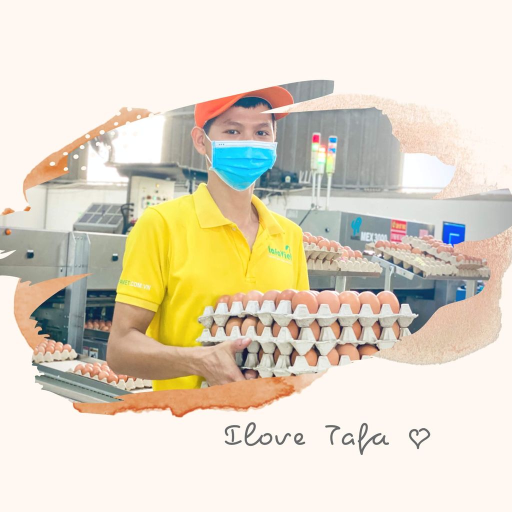 Trứng gà tươi cao cấp Tafa (Size 60gr), Thùng 150 quả | Tafa Việt