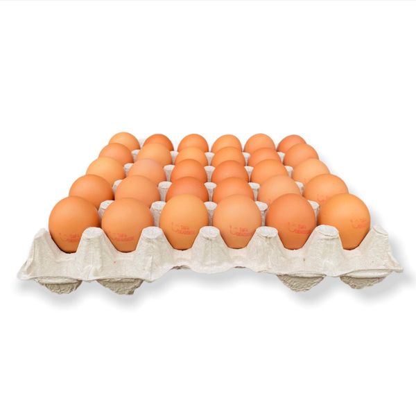 Trứng gà tươi cao cấp Tafa (Size 60gr), Thùng 150 quả | Tafa Việt