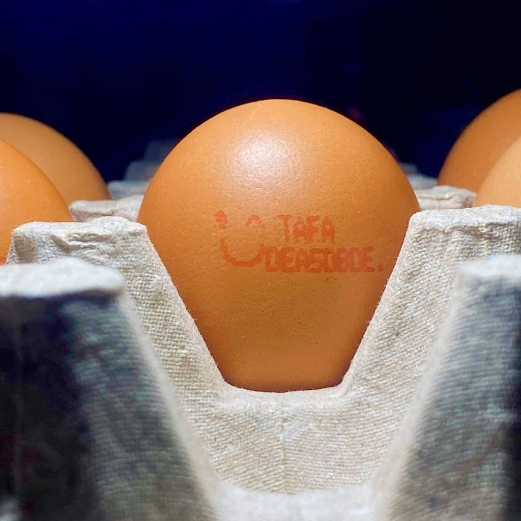 Trứng gà tươi 2 lòng đỏ gấp đôi dinh dưỡng Tafa, Thùng 150 quả trứng ...