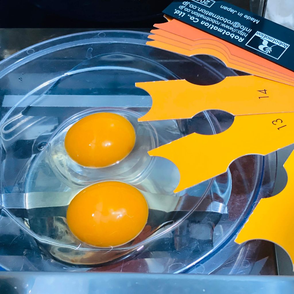 Trứng gà tươi 2 lòng đỏ gấp đôi dinh dưỡng Tafa, Thùng 150 quả trứng ...