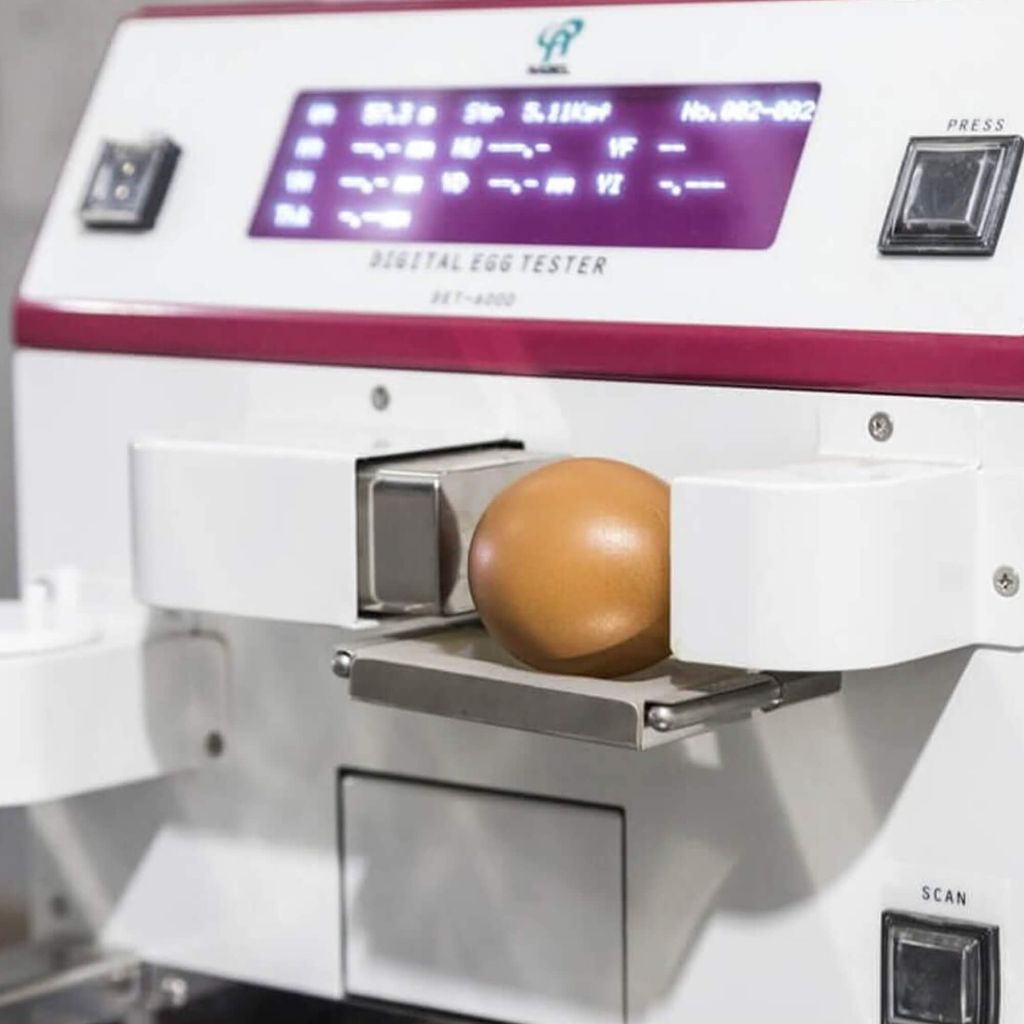 Trứng gà tươi cao cấp Tafa hộp giấy 6 quả (360g) | Tafa Việt