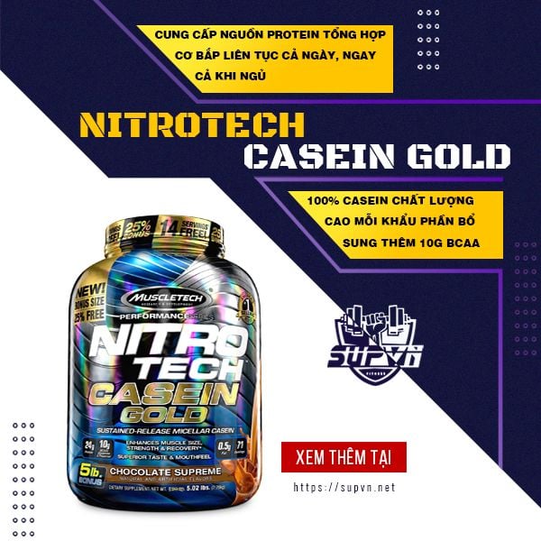 NitroTech Casein Gold 5lbs | Bảo Vệ Cơ Khi Ngủ – SUPVN