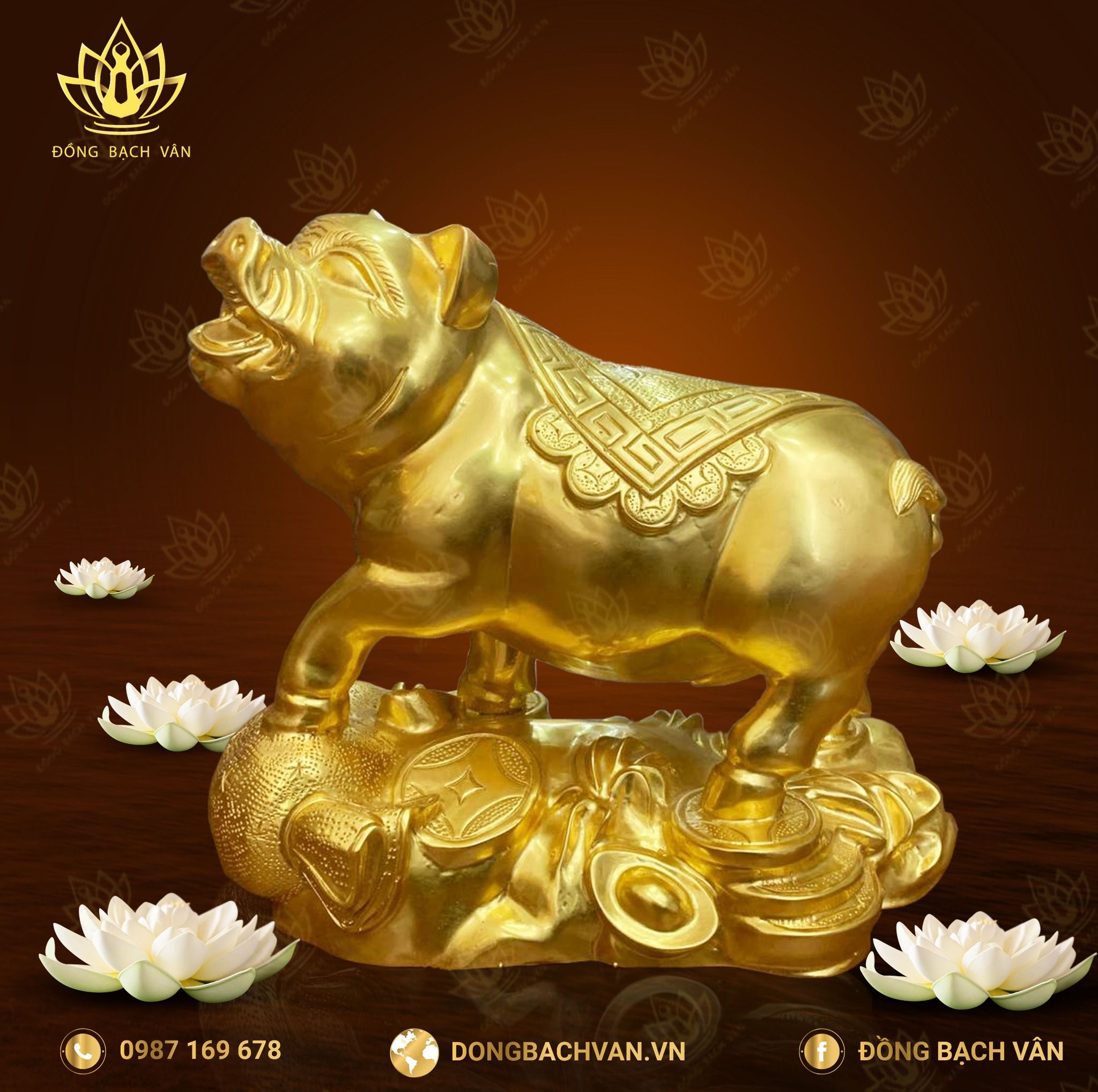 Lợn - Linh Vật Tuổi Hợi – dongbachvan