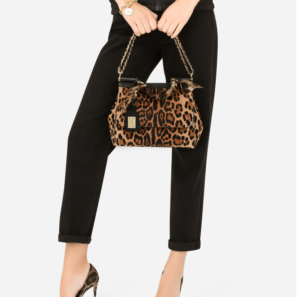 Túi Nữ Dolce & Gabbana Pony Hair 'Leopard Print' BB6002AY086HAALM – LUXITY