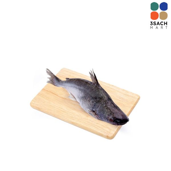 Cá Hú – 3Sach Mart