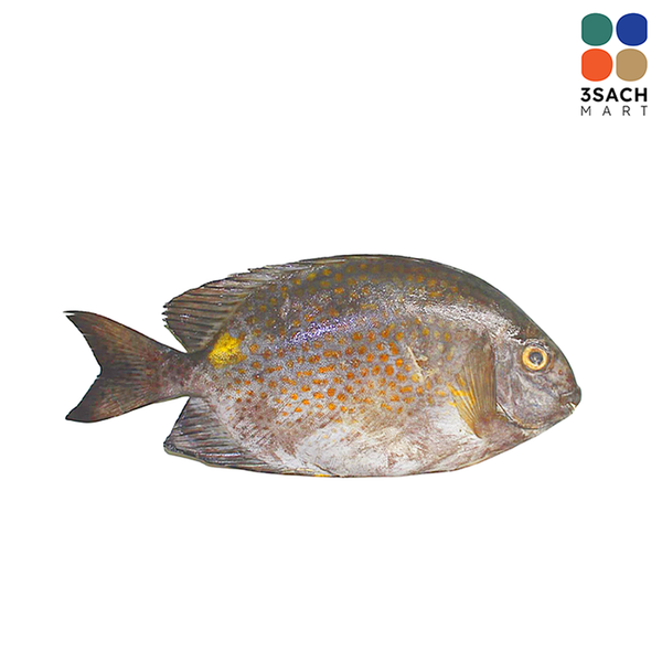 Cá Dìa Size 2-4Con/Kg – 3Sach Mart