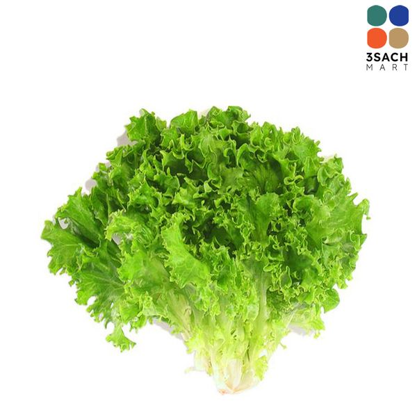 Xà Lách Lolo Xanh (Gói 300Gr) – 3Sach Mart