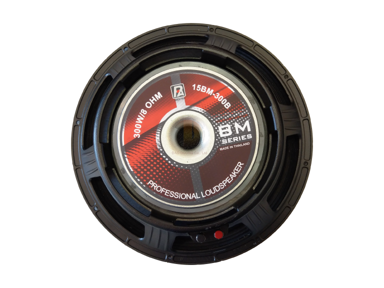 LOA RỜI P.AUDIO 15BM-300B – G.Music JSC