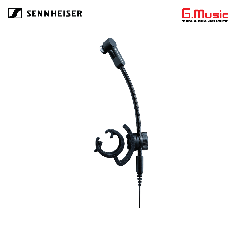 E908 D – G.Music JSC