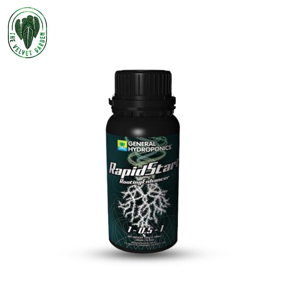 Rapid Start (Rooting Enhancer) – TheVelvetGarden