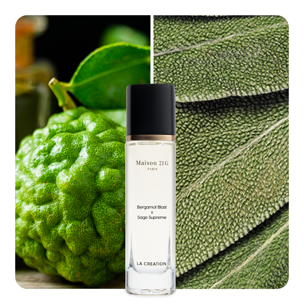 Nước hoa Bergamot Blast & Sage Supreme Nước hoa Bergamot Blast & Sage Supreme