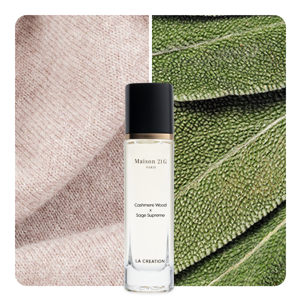 Nước hoa Cashmere Wood & Sage Supreme Nước hoa Cashmere Wood & Sage Supreme
