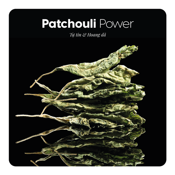 Nước hoa thiết kế Maison 21G - Patchouli Power | Exclusive Collection