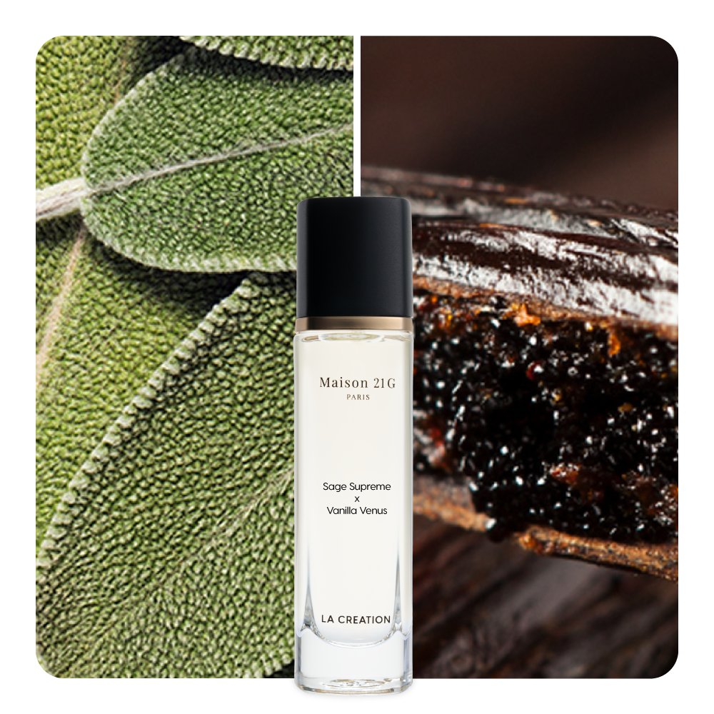 Nước hoa thiết kế Sage Supreme & Vanilla Venus Nước hoa thiết kế Sage Supreme & Vanilla Venus