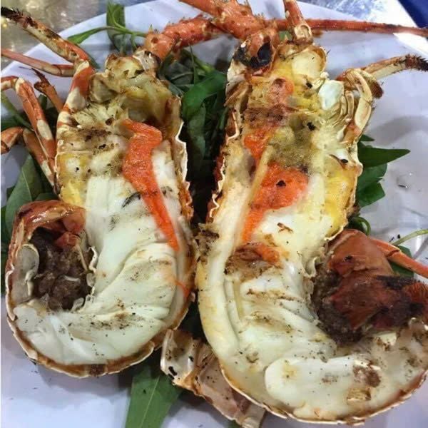 Tôm Hùm Bông Sống - Hải Đảo Food