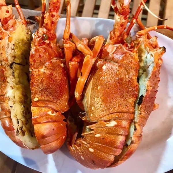 Tôm Hùm Bông Sống - Hải Đảo Food