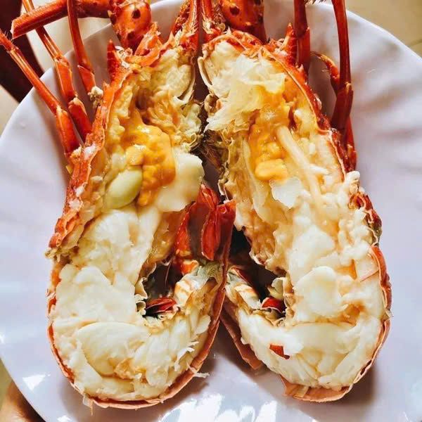 Tôm Hùm Bông Sống - Hải Đảo Food