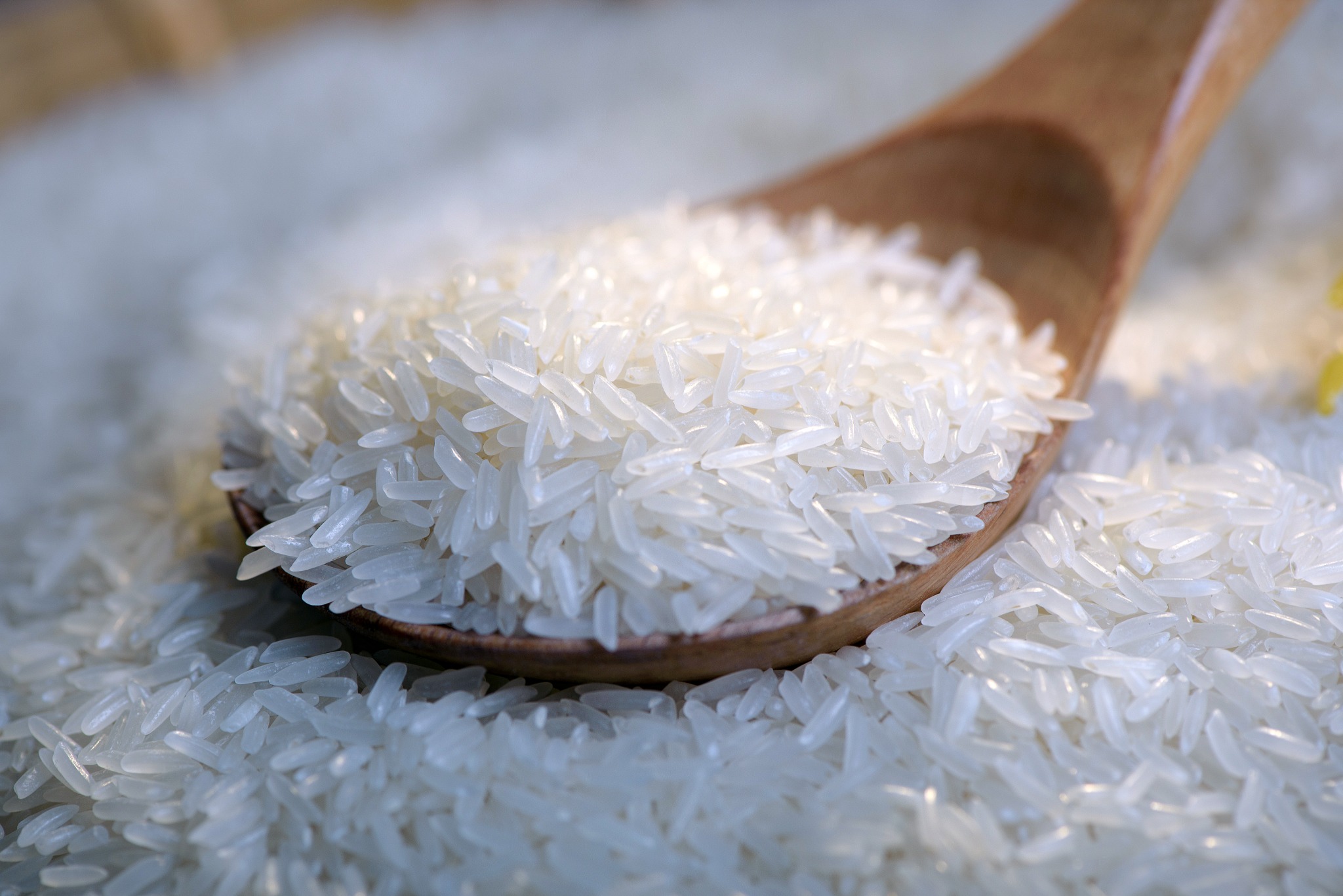 VEBO LÚA TÔM - Thượng hàng, hữu cơ – APGECO