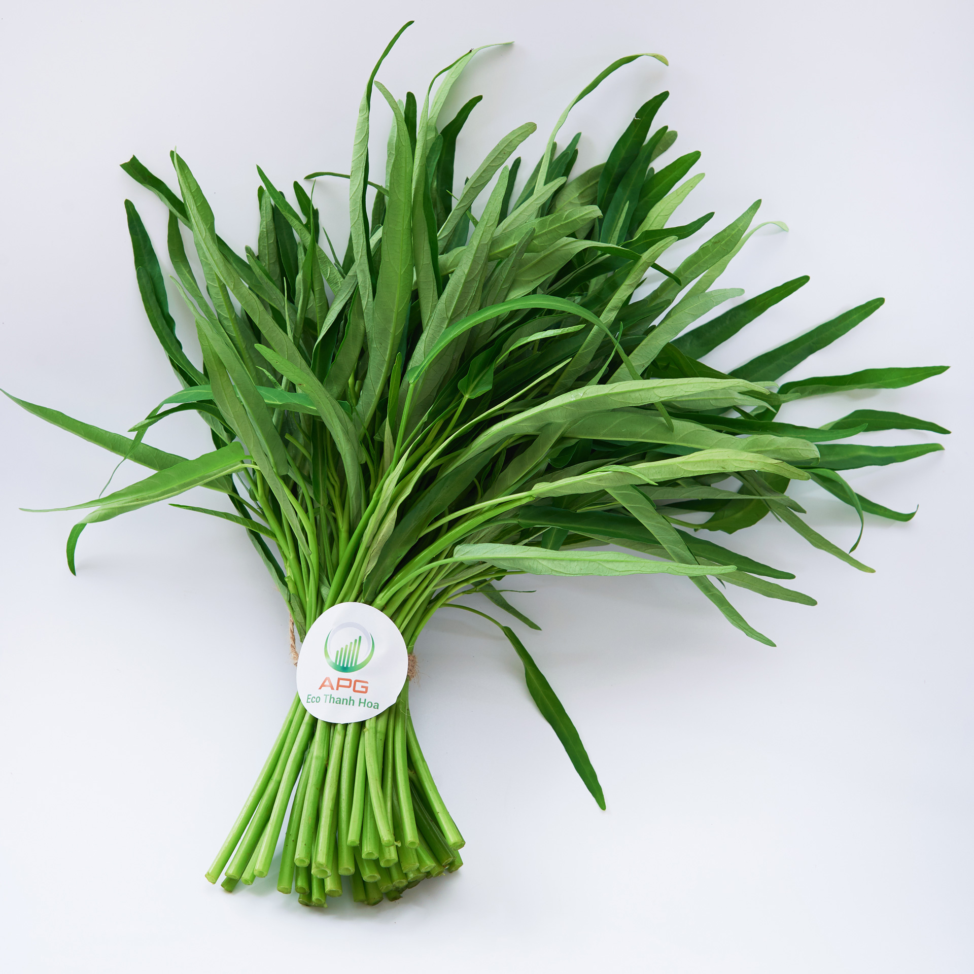 [HCM] Rau Muống Organic- APG ECO - Rau quả tươi tốt (Bịch 500g) – APGECO