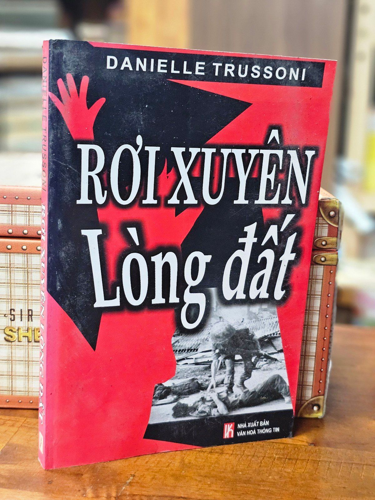 RƠI XUYÊN LÒNG ĐẤT - DANIELLE TRUSSONI – Momo Bookstore