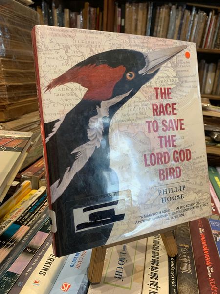 The Race to Save the Lord God Bird - Philip Hoose – Momo Bookstore