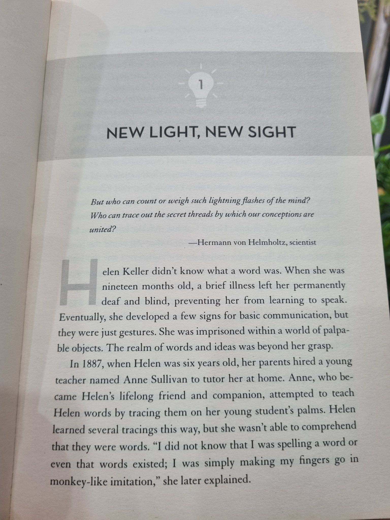 THE EUREKA FACTOR : CREATIVE INSIGHTS AND THE BRAIN - JOHN KOUNIOS & M ...