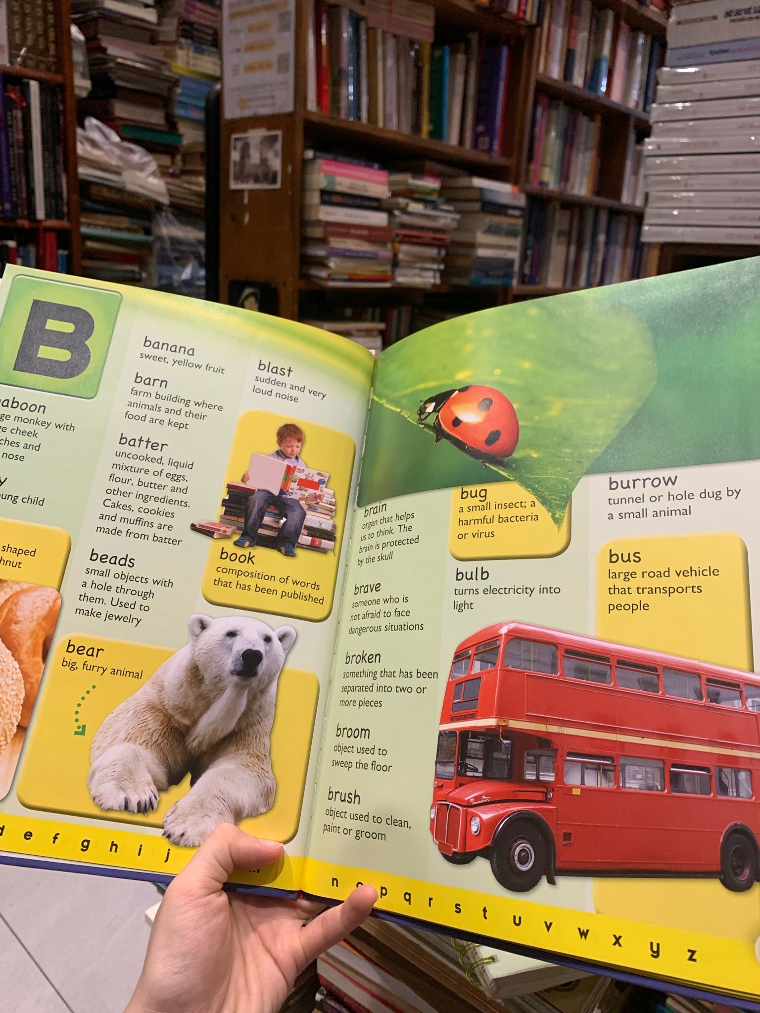 MY FIRST DICTIONARY: A FUN REFERENCE BOOK OF WORDS – Momo Bookstore