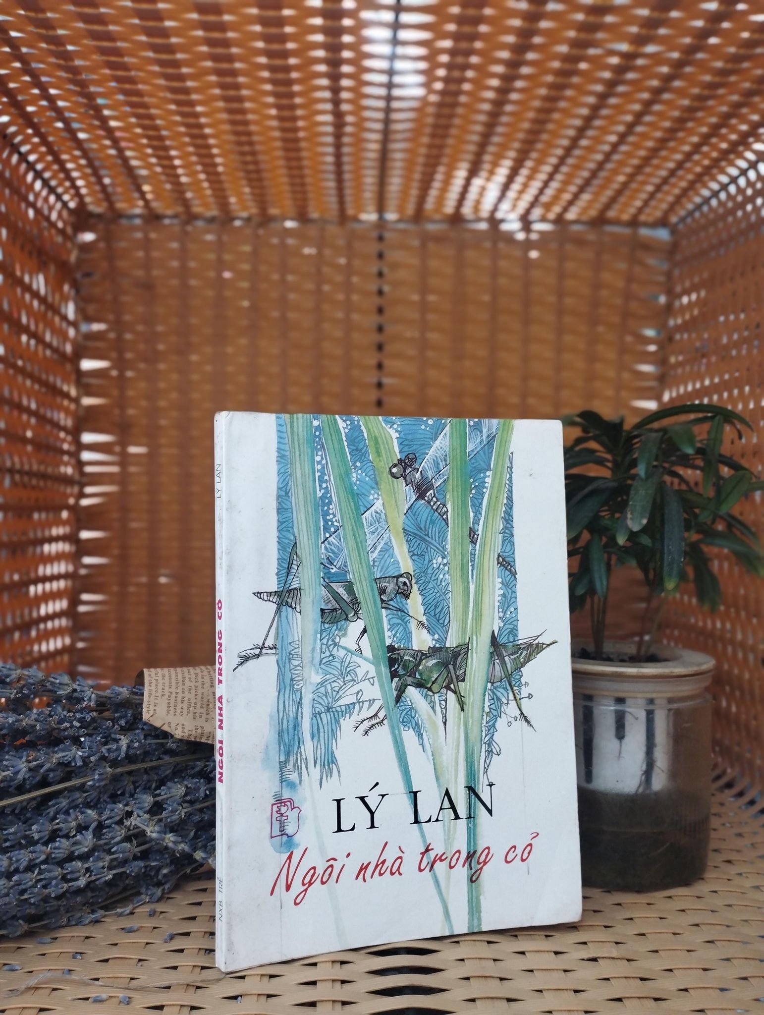 Ngôi Nhà Trông Cỏ - Lý Lan – Momo Bookstore