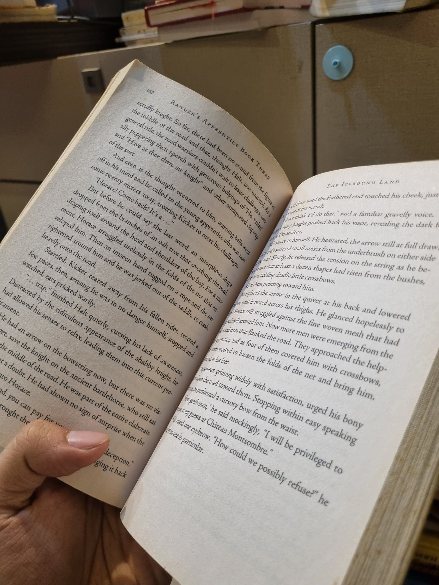 RANGER APPRENTICE : Book 3 The Icebound Land – Momo Bookstore