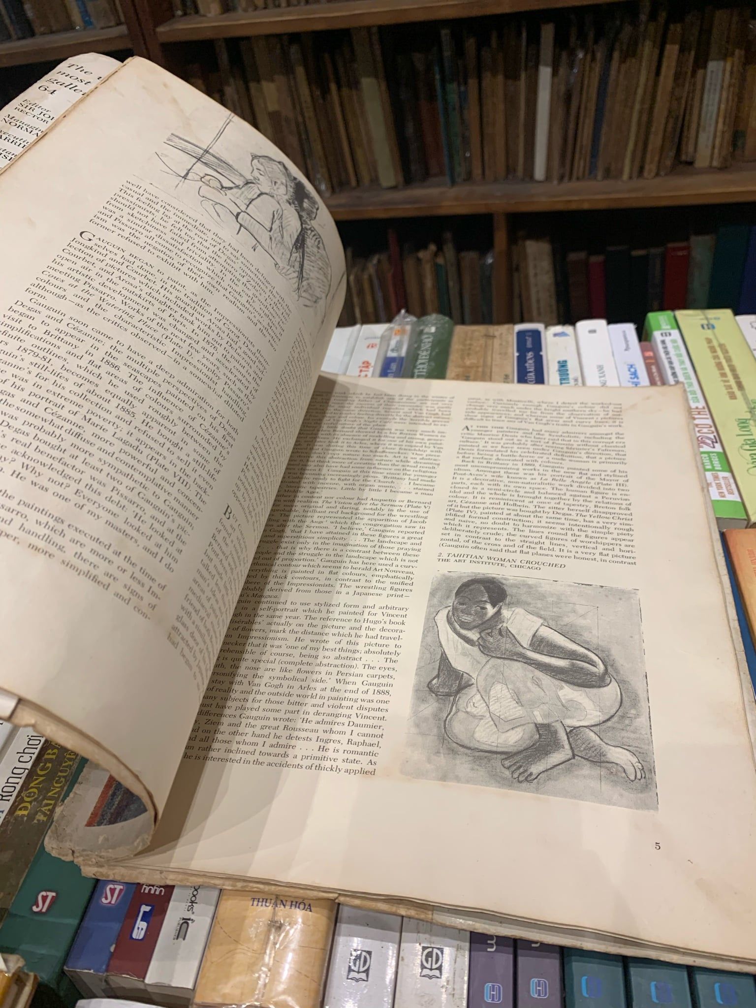 THE MASTER 64: GAUGUIN text by Phoebe Pool – Momo Bookstore