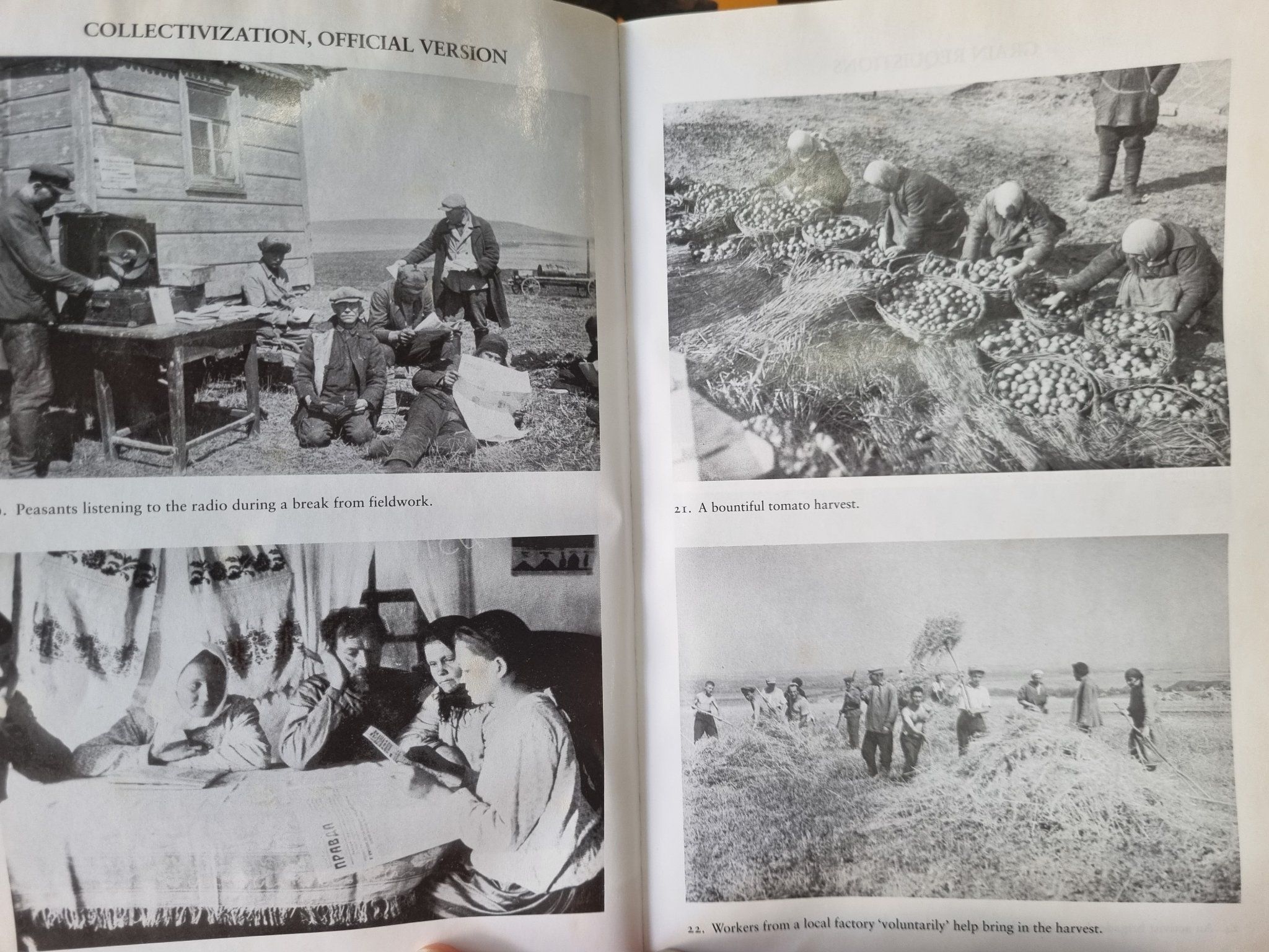 RED FAMINE : STALIN'S WAR ON UKRAINE - ANNE APPLEBAUM – Momo Bookstore