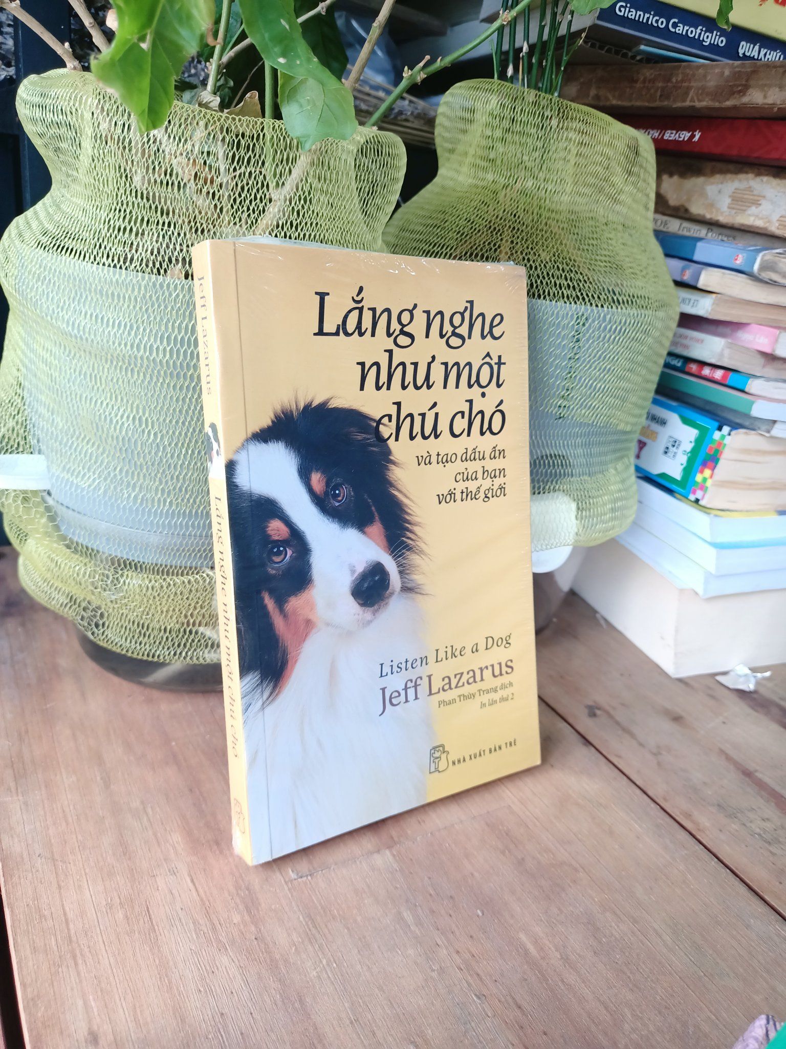 Lắng nghe như một chú chó - Jeff Lazarus – Momo Bookstore