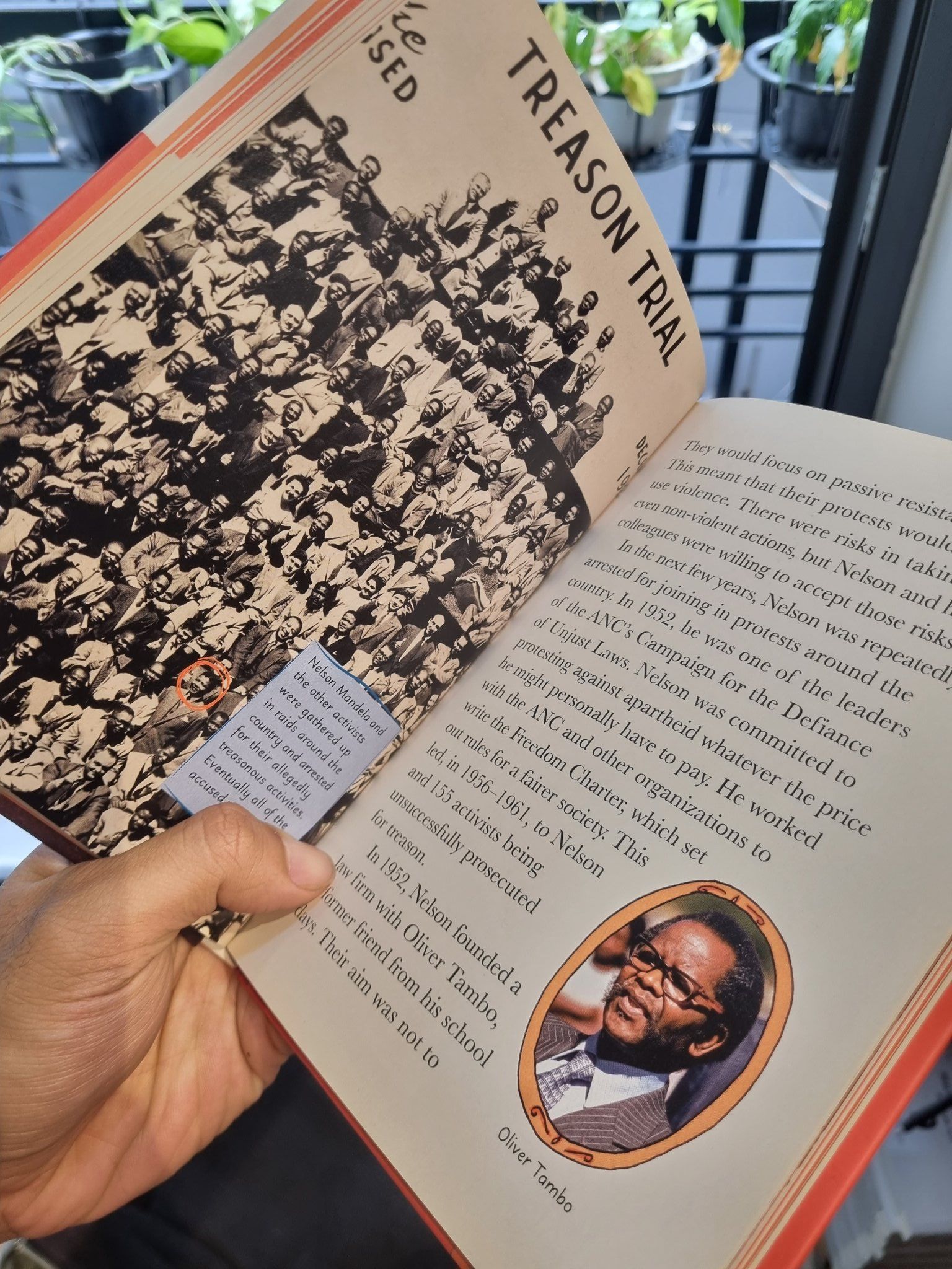 NELSON MANDELA (DK Life Stories) - Stephen Krensky – Momo Bookstore