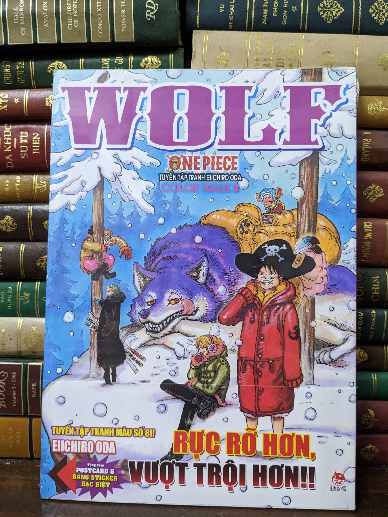 One Piece Color Walk - Tuyển Tập Tranh Eiichiro Oda – Momo Bookstore