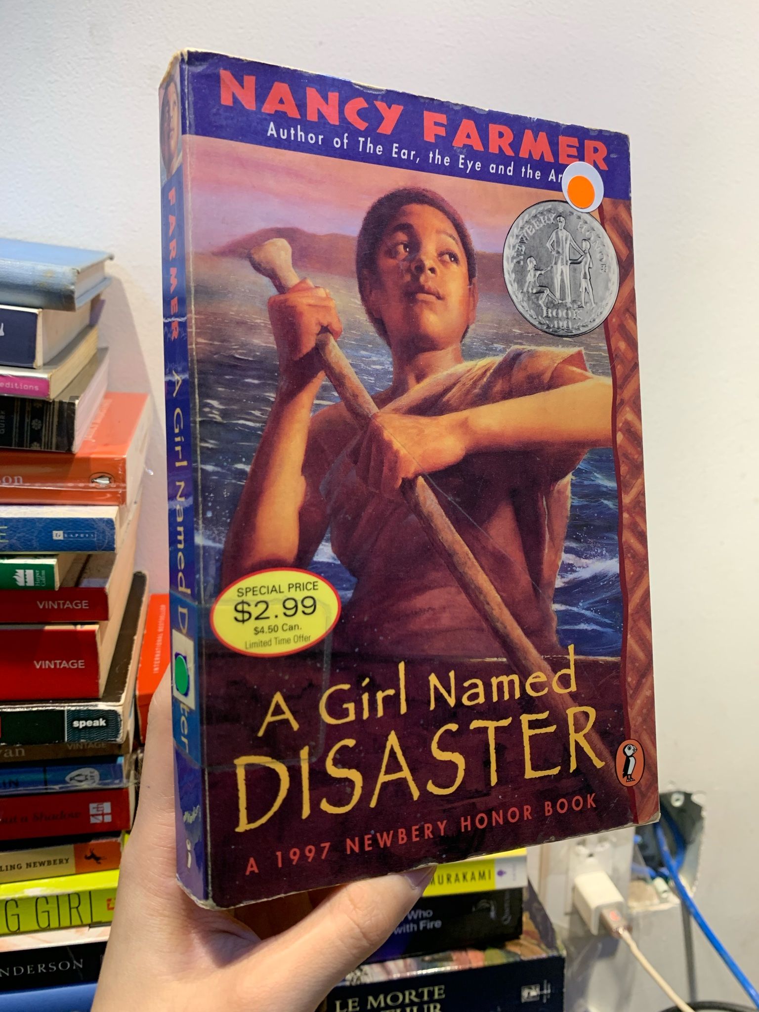 A GIRL NAMED DISASTER - Nancy Farmer – Momo Bookstore