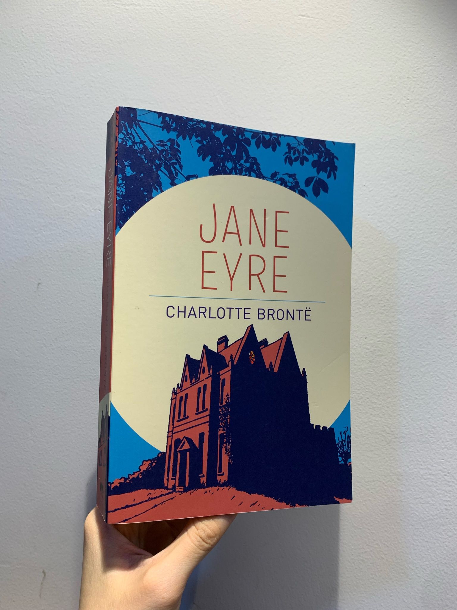 JANE EYRE - Charlotte Bronte – Momo Bookstore