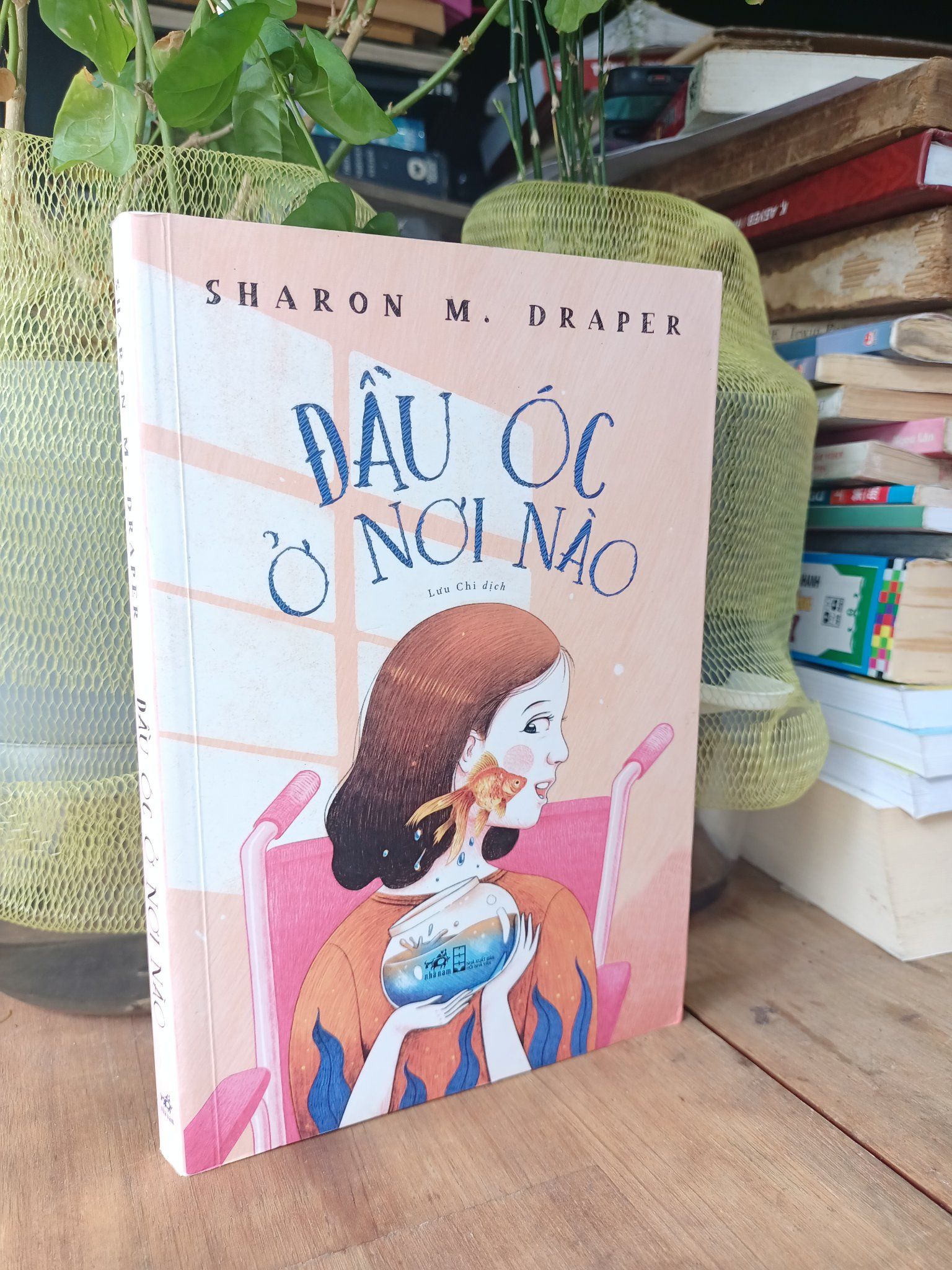 Đầu óc ở nơi nào - Sharon M. Draper – Momo Bookstore