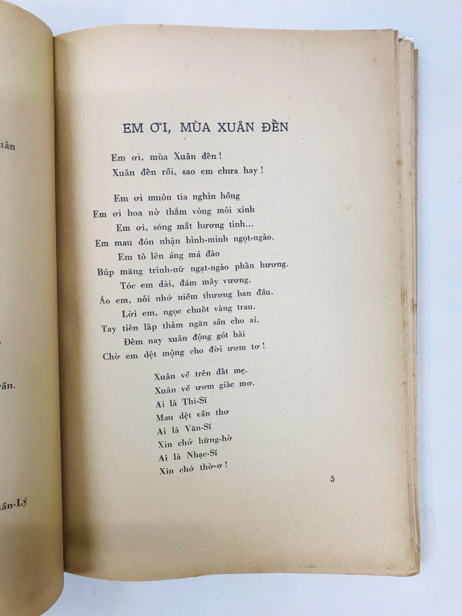 Hoa hướng dương - Chim Hoàng – Momo Bookstore