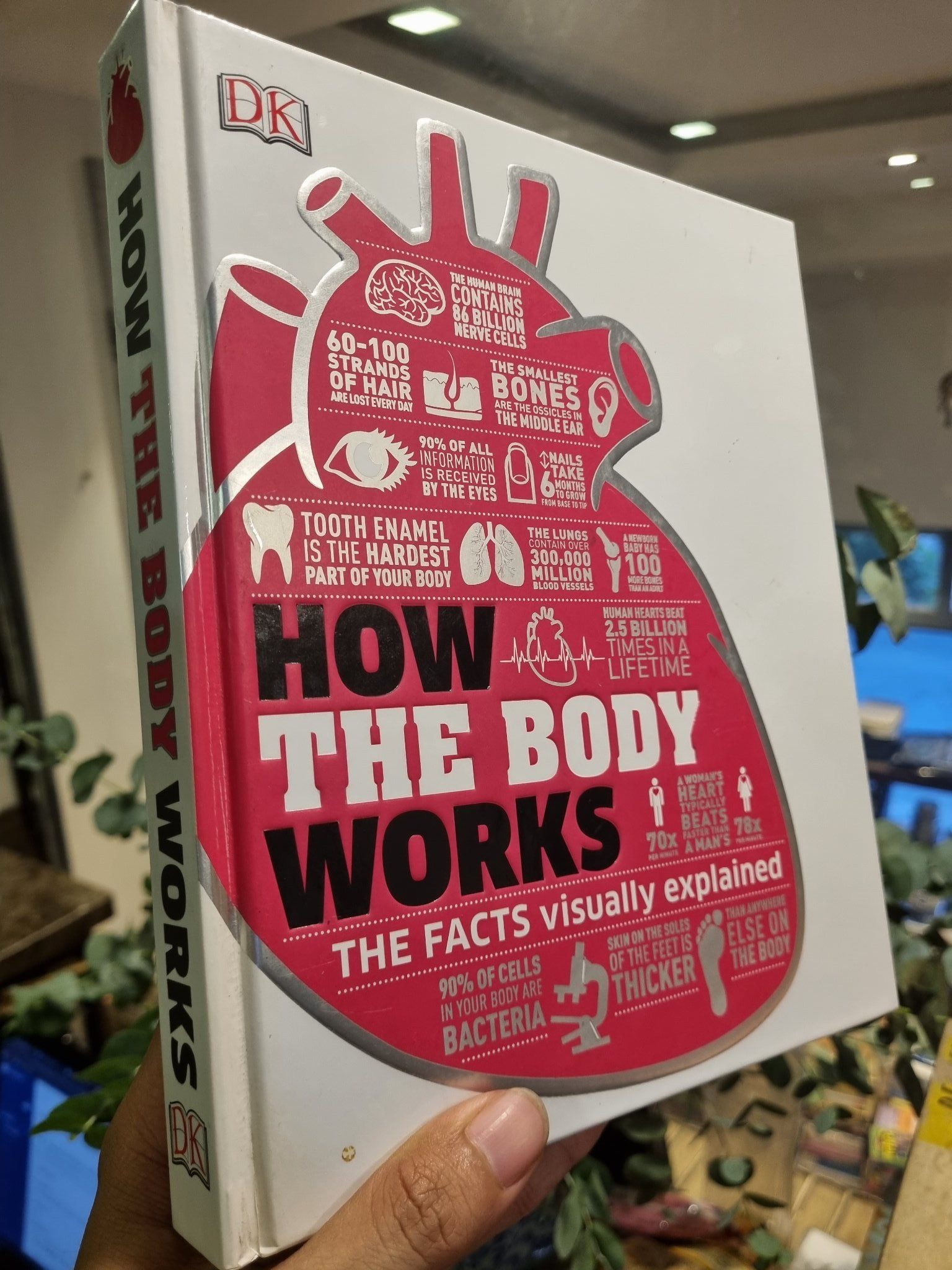 HOW THE BODY WORKS : THE FACTS VISUALLY EXPLAINED – Momo Bookstore