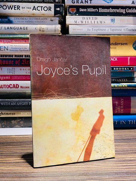JOYCE'S PUPIL - DRAGO JANCAR – Momo Bookstore