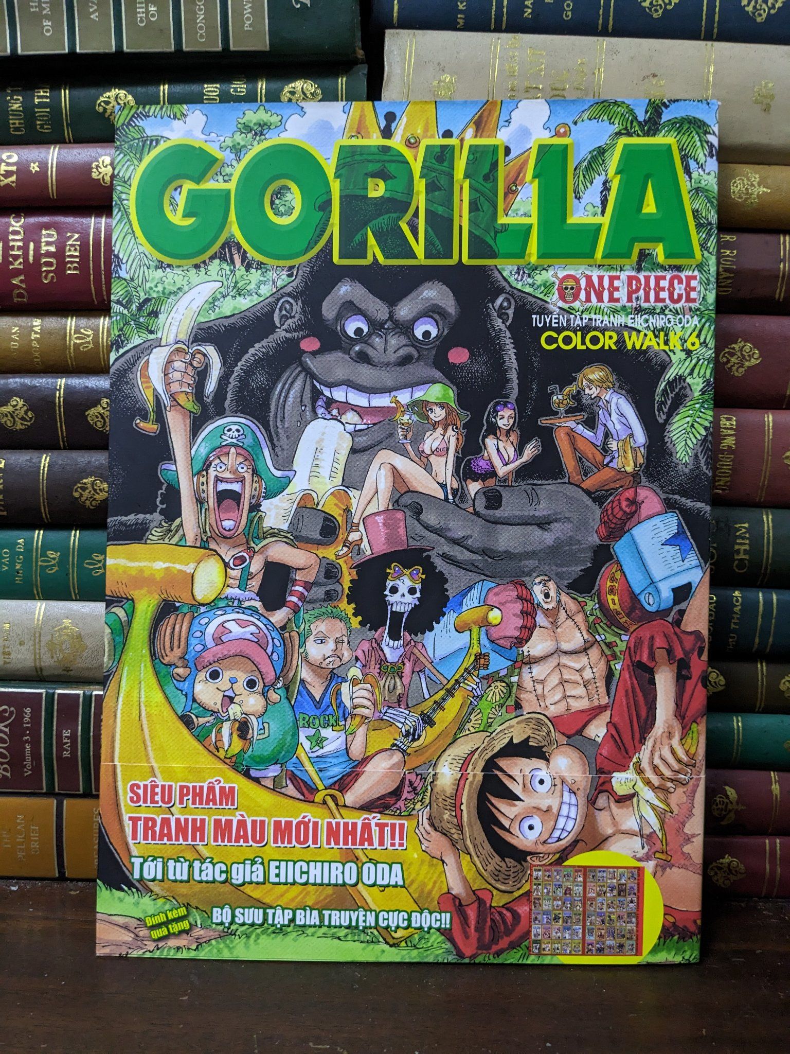 One Piece Color Walk - Tuyển Tập Tranh Eiichiro Oda – Momo Bookstore