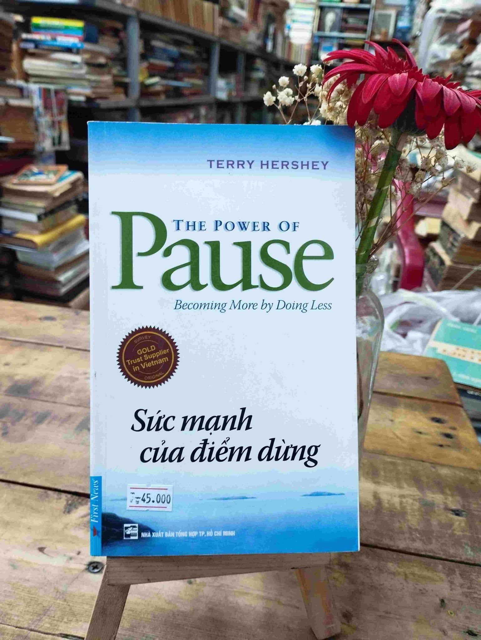 The Power of Pause Sức Mạnh Của Điểm Dừng - Terry Hershey – Momo Bookstore
